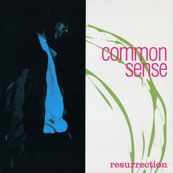 Common Sense - Resurrection - Vinyl Record - Round Flat Records